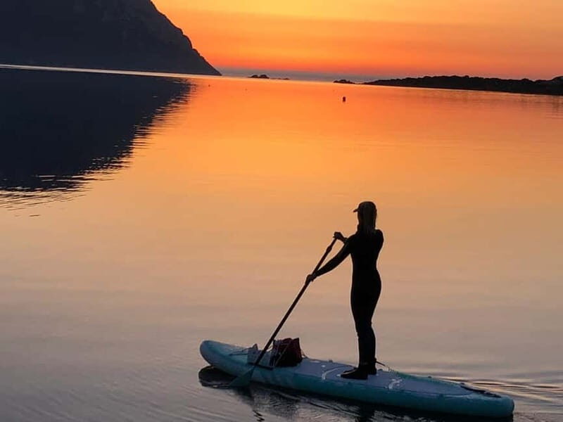 Golfo Aranci tour SUP Paddleboard Dolphin watching, aperitif - Practical Details & What to Prepare