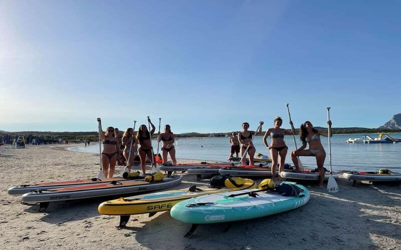 Golfo Aranci tour SUP Paddleboard Dolphin watching, aperitif - Who Is This Tour Best Suited For?