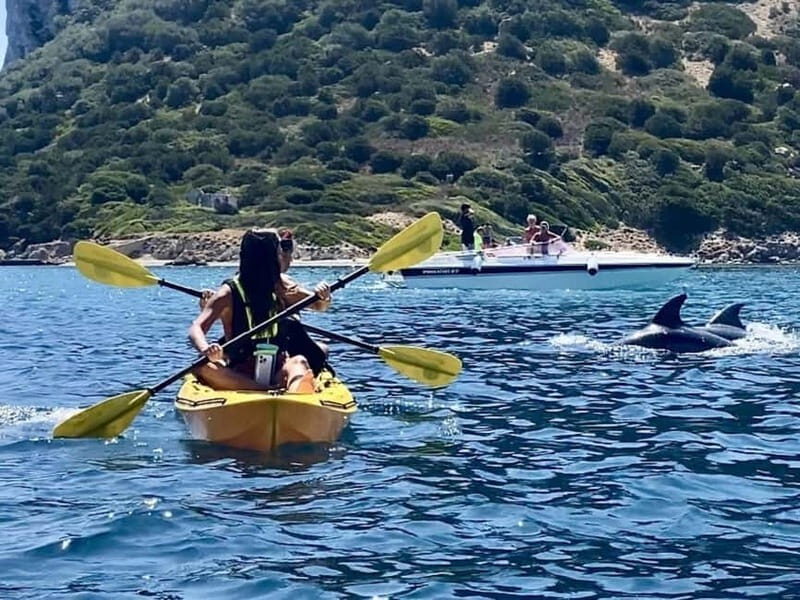 Golfo Aranci:Small group, german guided Kayak tour&Dolphins - Introduction to the Experience