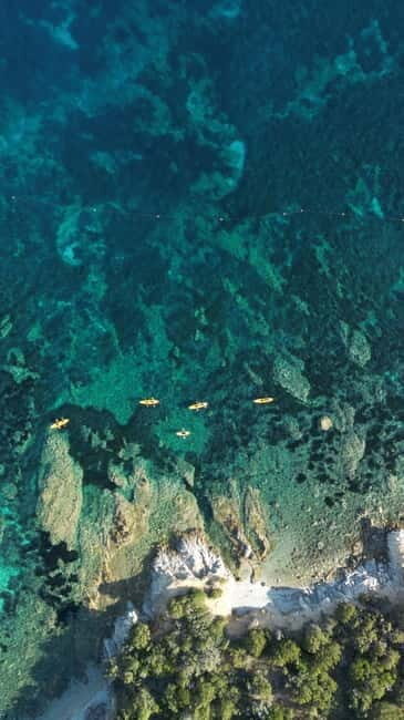 Golfo Aranci:Small group, german guided Kayak tour&Dolphins - Final Thoughts: Why This Tour Is a Must-Do