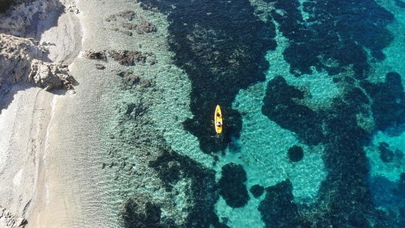 Golfo Aranci:Small group, german guided Kayak tour&Dolphins - FAQ