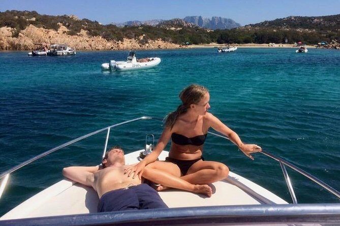 Golfo di Olbia and Dolphins Island Private Boat Tour - Key Points