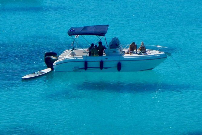 Golfo di Olbia and Dolphins Island Private Boat Tour - Itinerary Breakdown: What to Expect