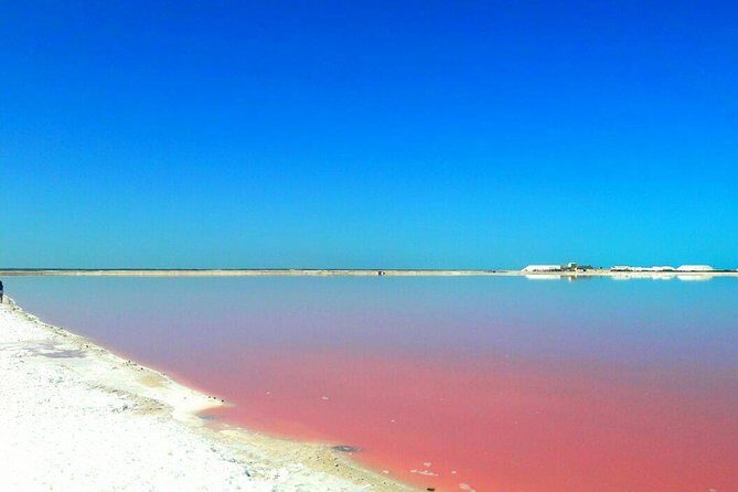Gorgeous Natural Pink Lake, Las Coloradas Tour! From Cancun & Riviera Maya - FAQs