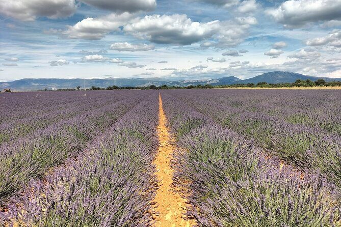 Gorges du Verdon : Lavenders, Canyon Boat Picnic & Villages - An In-Depth Review of the Gorges du Verdon Tour