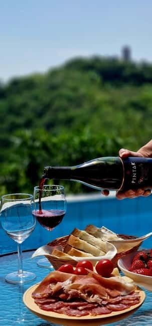 Gorika Brda: Wine Tasting with Local Snacks - Final Thoughts