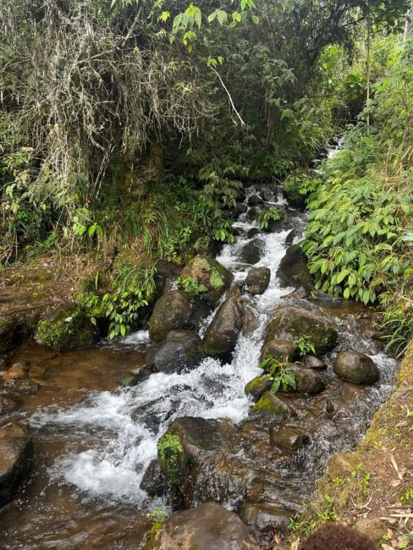 Goroka: Kameufa village tour with traditional dance - Final Thoughts