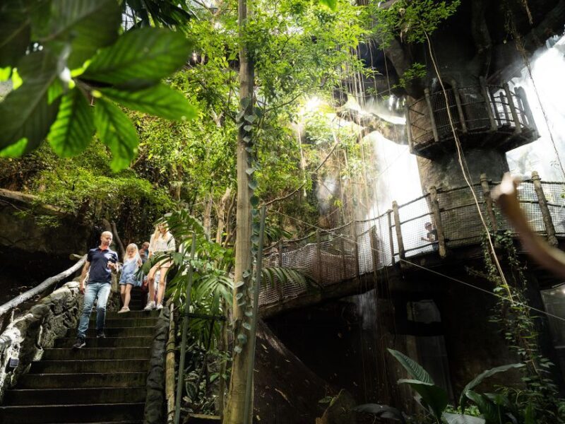 Gothenburg: Go City All-Inclusive Pass with 20+ Attractions - The Sum Up: Is the Gothenburg Go City Pass Worth It?