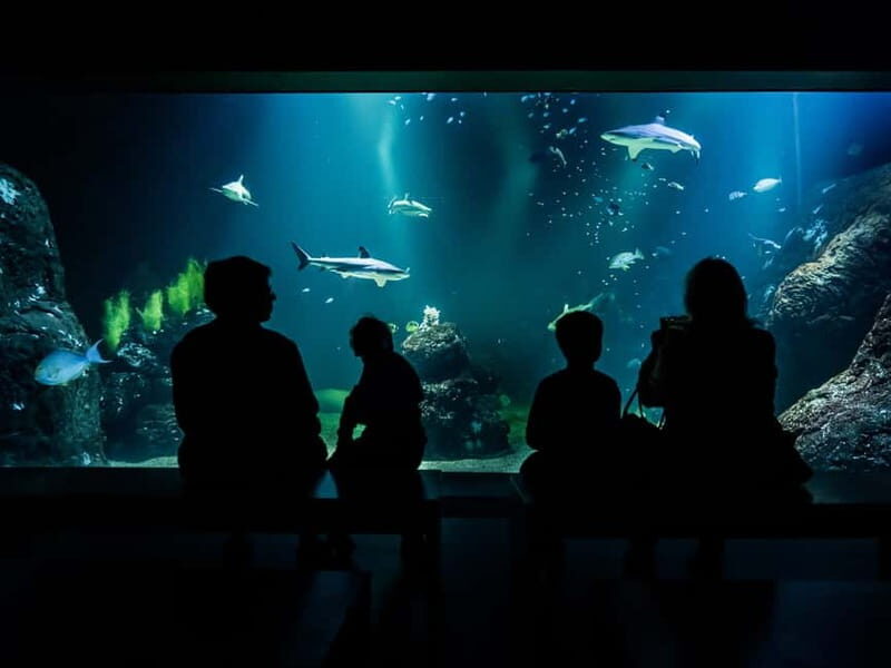 Gothenburg: Universeum Entry Ticket - Authentic Experiences from Visitors
