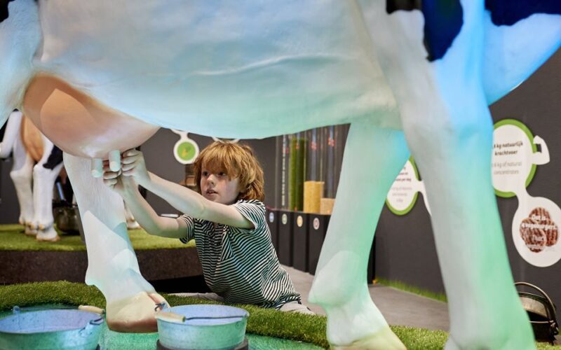 Gouda: Gouda Cheese Experience Entry Ticket - FAQ