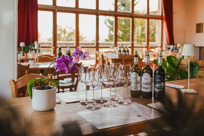 Gourmet Brunello Vertical Tasting - Practical Considerations and Tips