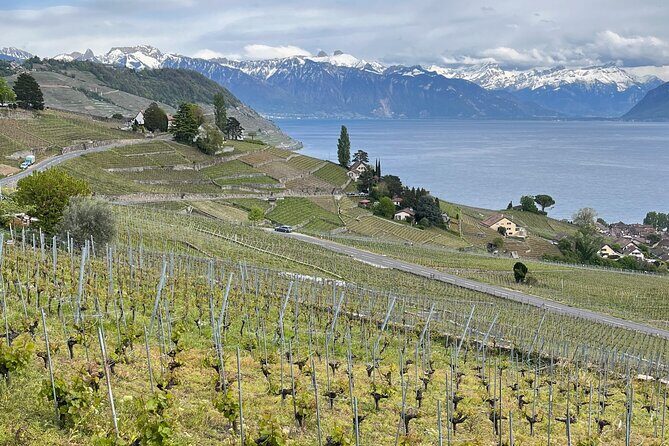 Gourmet Food and Wine Tasting Walk in Lavaux - Final Thoughts