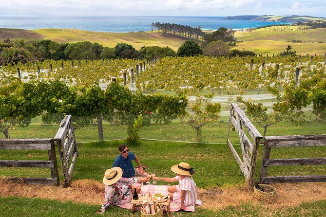 Gourmet Mystery Picnic Experience in Matakana - Key Points
