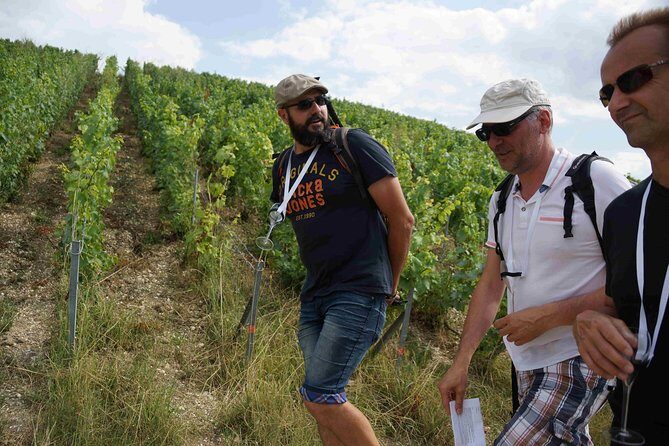 Gourmet walk in the heart of the vineyards with Champagne tasting near Epernay - A Closer Look at the Tour Experience