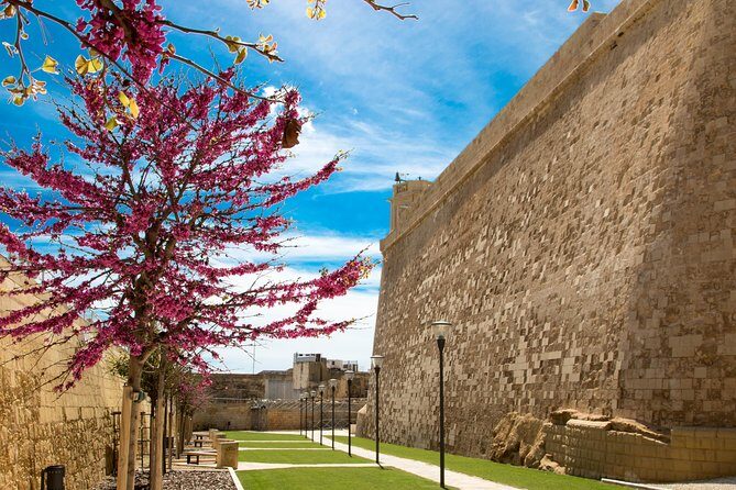 Gozo & Comino Islands, Blue Lagoon & Seacaves Tour - Crystal Lagoon: A Photo Stop