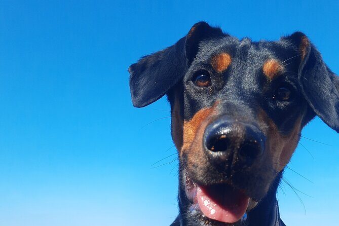 Gozo Unveiled Hiking: A Guided Hike tour in Gozo - Who Will Love This Experience?