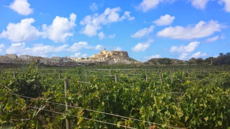 Gozo Victoria Walking Tour - Key Points