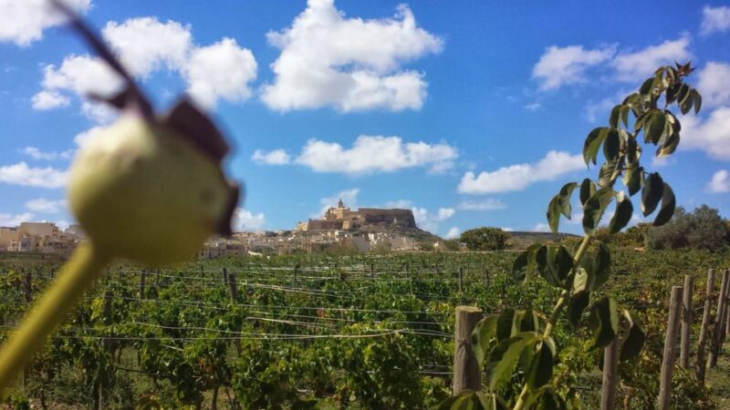 Gozo Victoria Walking Tour - FAQ