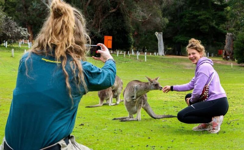Grampians National Park Small-Group Eco Day Tour - Transportation and Group Size