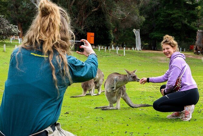 Grampians National Park Small-Group Eco Tour from Melbourne - Considerations & Tips