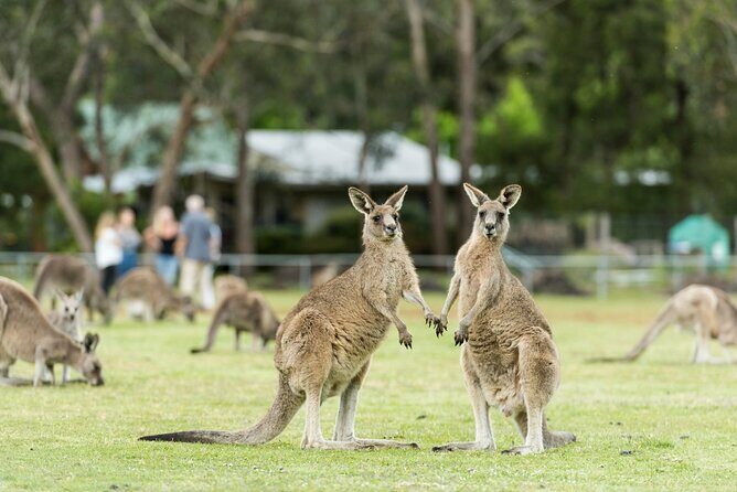 Grampians National Park Small-Group Eco Tour from Melbourne - The Sum Up: Who Will Love This Tour?