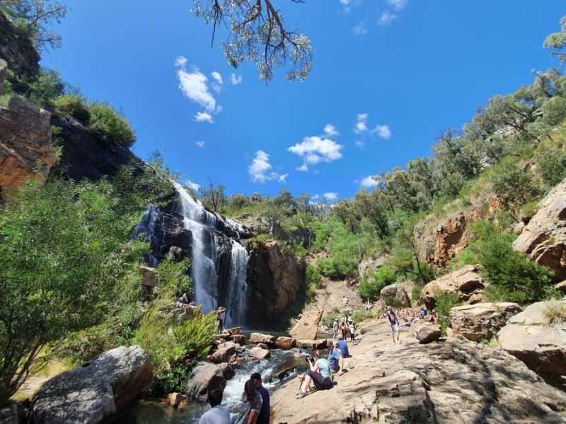 Grampians Small-Group Hiking & Wildlife Eco Experience - Key Points