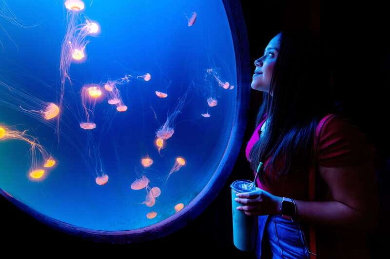 Gran Acuario Mazatlan - Authentic Insights from Visitors