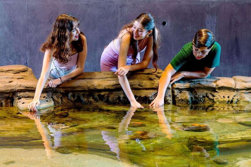 Gran Acuario Mazatlan - Who Should Visit?