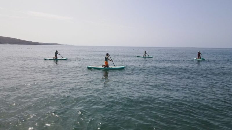Gran Canaria : 2h Stand Up Paddle board lessons - Key Points
