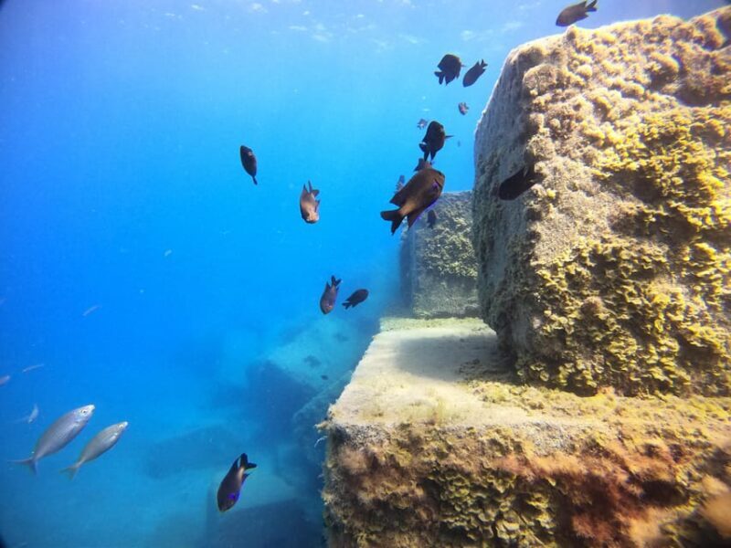 Gran Canaria: 3-Day Open Water Diver Course - Key Points