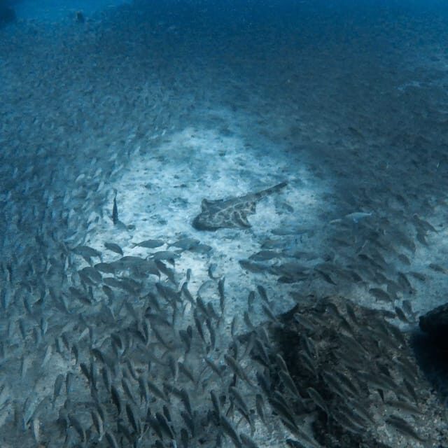 Gran Canaria: 3-Day Open Water Diver Course - Practical Considerations & Tips