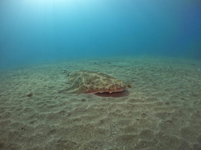 Gran Canaria: 3-Day Open Water Diver Course - FAQ