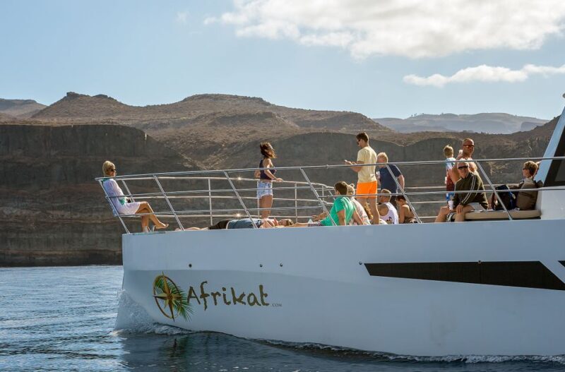 Gran Canaria: Afternoon Catamaran Cruise with Food & Drink - Who Will Love This Cruise?