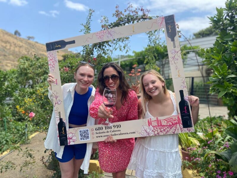 Gran Canaria: Best Wineries and Views Tour - Price & Value