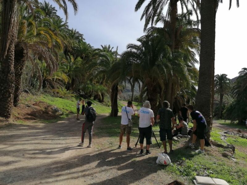 Gran Canaria: Camel Ride at Camel Safari Park - A Detailed Look at the Camel Safari Park Experience