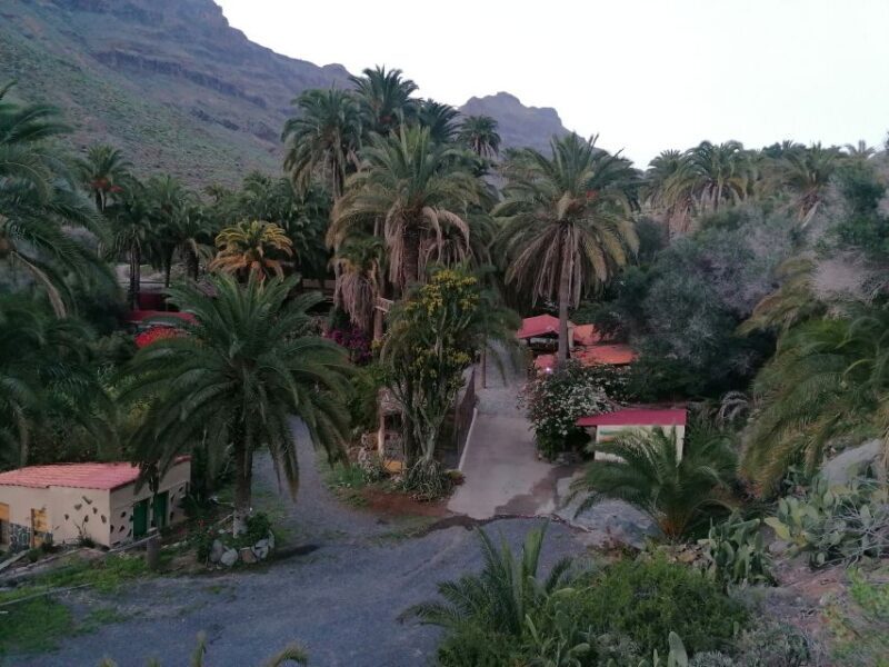 Gran Canaria: Camel Ride at Camel Safari Park - The Sum Up