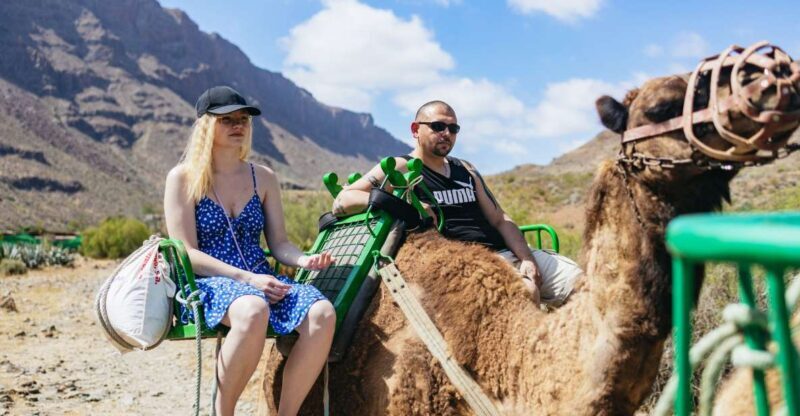 Gran Canaria: Camel Ride Safari w/ Optional Food & Transport - The Value of This Tour