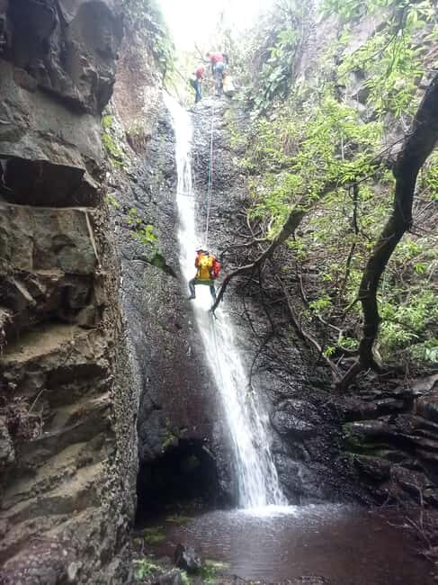 Gran Canaria: Canyoning Adventure in the Green Heart Jungle - An In-Depth Look at the Canyoning Tour in Gran Canaria