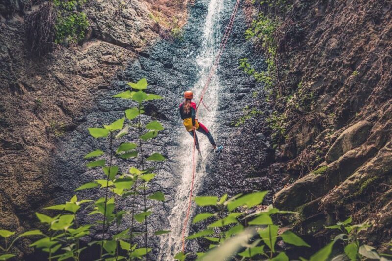 Gran Canaria: Canyoning in the Rainforest - The Value Proposition