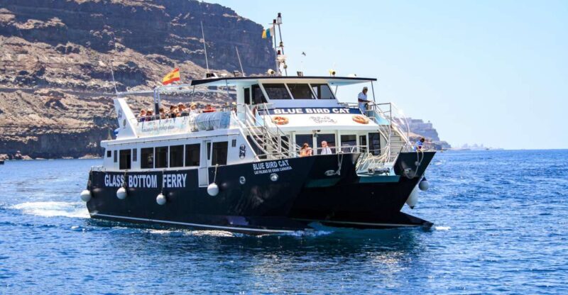 Gran Canaria: Catamaran Dolphin Watch Cruise with Snorkeling - The Experience and What You’ll Actually Feel