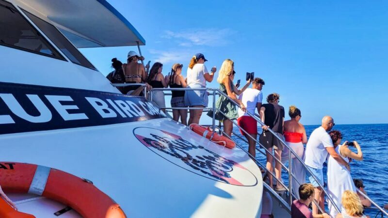 Gran Canaria: Catamaran Dolphin Watch Cruise with Snorkeling - Who Will Love This Tour?
