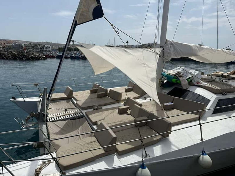 Gran Canaria: Catamaran Tour with Lunch and Drinks - Key Points