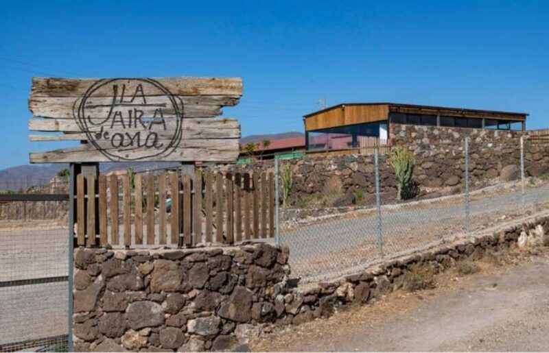 Gran Canaria: Cheese Workshop in Agüimes - Key Points