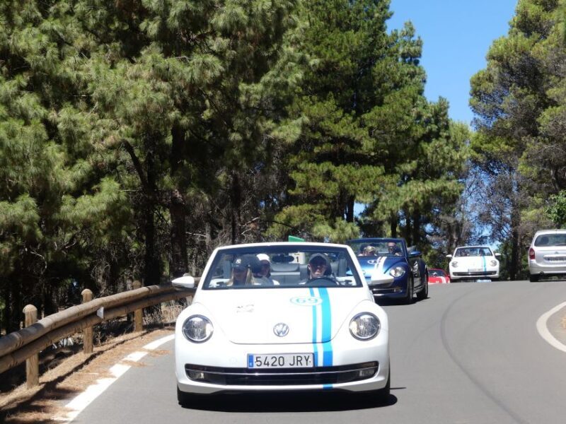 Gran Canaria: Convertible Beetle Tour - A Scenic Adventure in a Classic Car