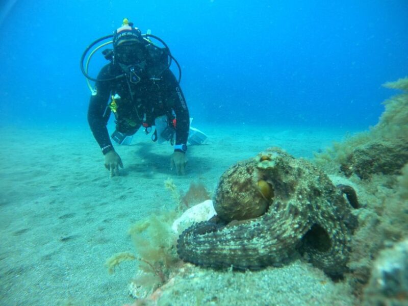 Gran Canaria: Discover Scuba Diving - Free Transfers - FAQ