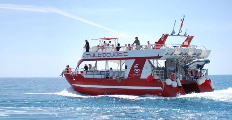 Gran Canaria: Dolphin and Whale Watching Cruise - Potential Drawbacks and Considerations