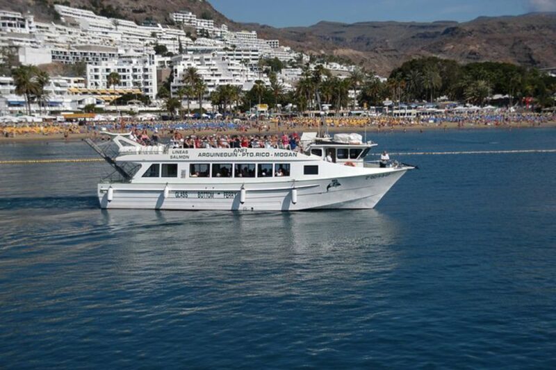 Gran Canaria: Dolphin and Whale Watching Cruise - Final Thoughts: Who Will Love This Tour?