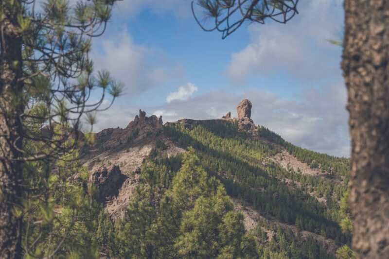 Gran Canaria: Full-Day Customizable Private Photography Tour - Final Thoughts
