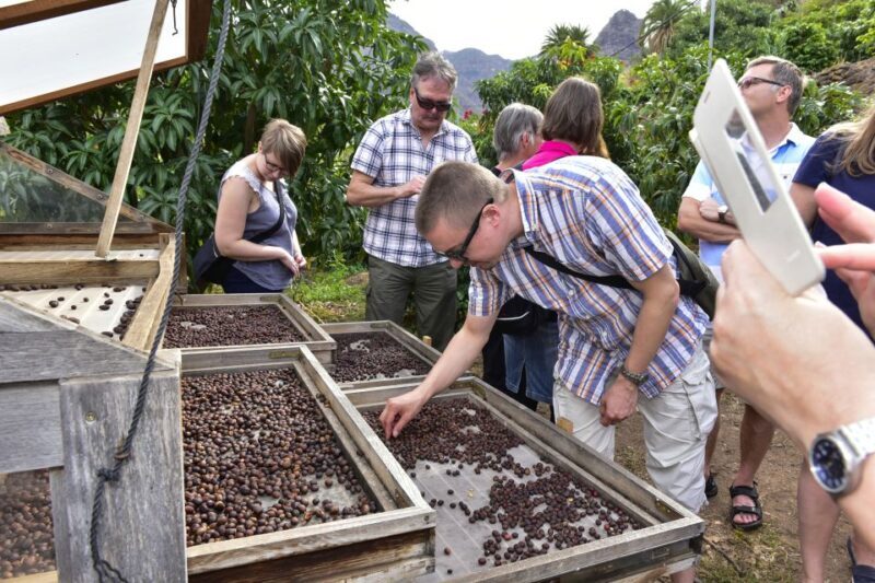 Gran Canaria: Grand Island Tour by Bus with Transfers - Exploring Gran Canaria: A Full-Day Bus Tour That Covers It All