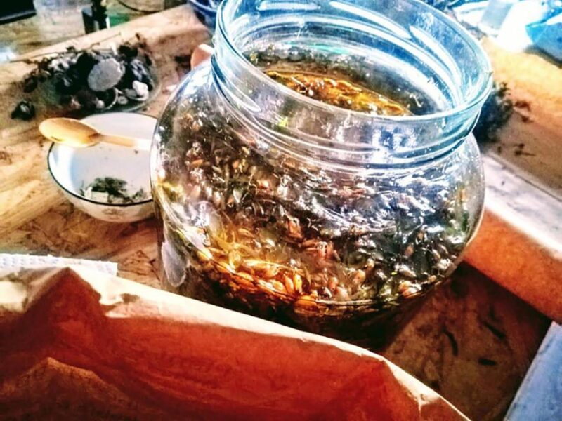 Gran Canaria: Green Witchcraft in the Magic Island - A Deep Dive into the Green Witchcraft Tour